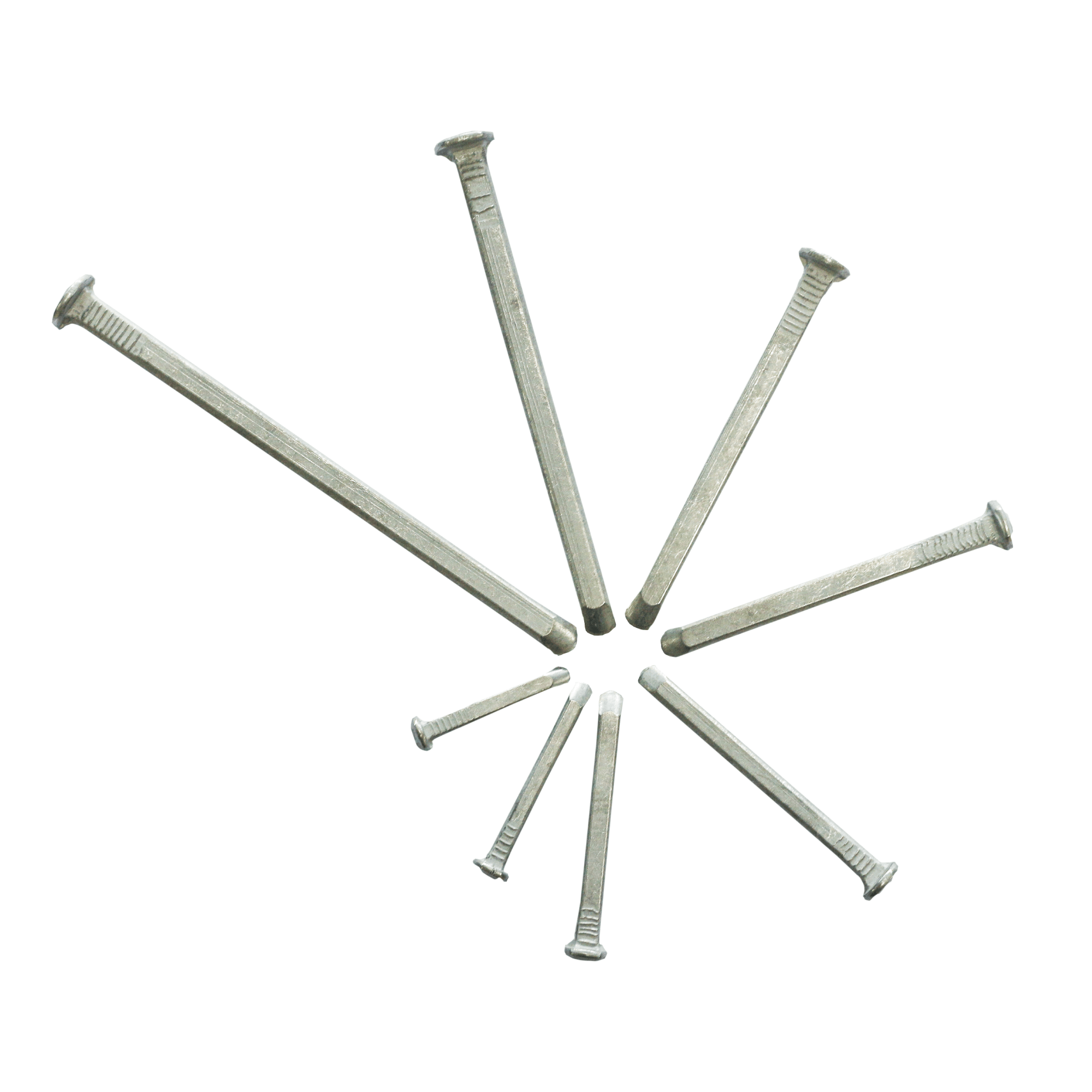 ตะปูแบน (Rectangular Boat Nails) – SAHAPORN CHAROEN STEEL CO.,LTD.